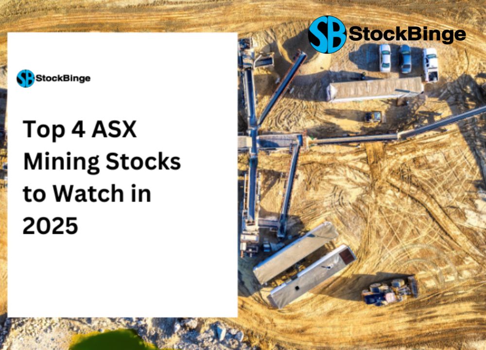 Stock Binge